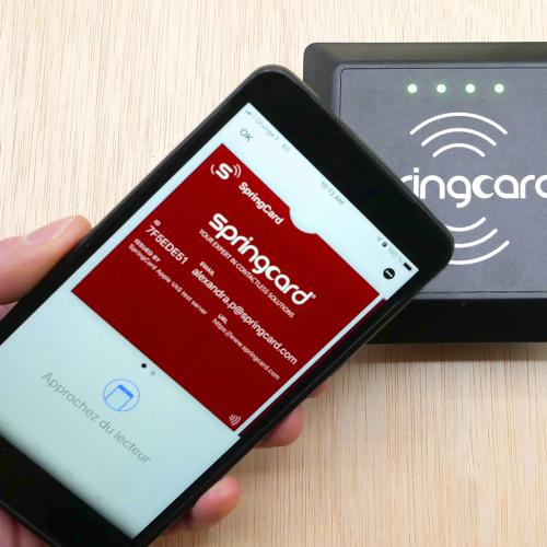 SpringPark - SpringCard